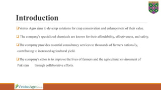 internship presentation on agricultural company.pptx