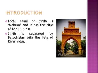 Mohammad Baqir Ali Sindh Culture and traditions | PPTX