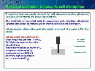 cell disruption technologies for bioprocess | PPT