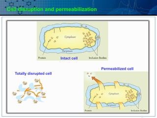 cell disruption technologies for bioprocess | PPT