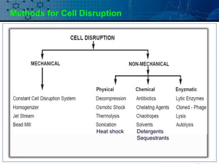 cell disruption technologies for bioprocess | PPT