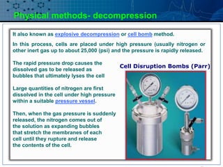 cell disruption technologies for bioprocess | PPT