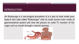 Endoscopy Procedure with upper and lower route | PPTX | Digestive ...