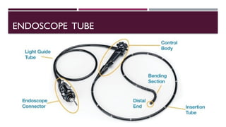 Endoscopy Procedure with upper and lower route | PPTX
