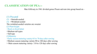 Agronomical practice of peas AGR 203 (1).pptx | Free Download