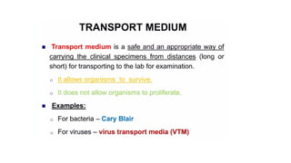 M. Bacteriology specimen Transport protocols.pptx