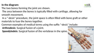 M. Prem kumar roll number : 46 anatomical suffix ppt | PPTX