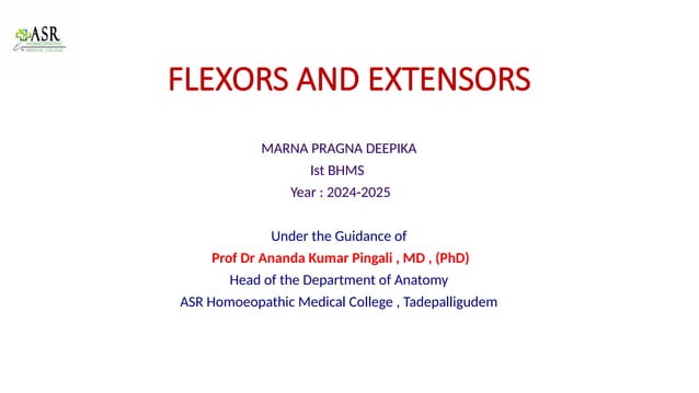 ANGULAR MOVEMENTS(FLEXORS AND EXTENSORS) | PPT