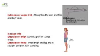FLEXORS AND EXTENSORS presented by M.Pragna Deepika | PPTX