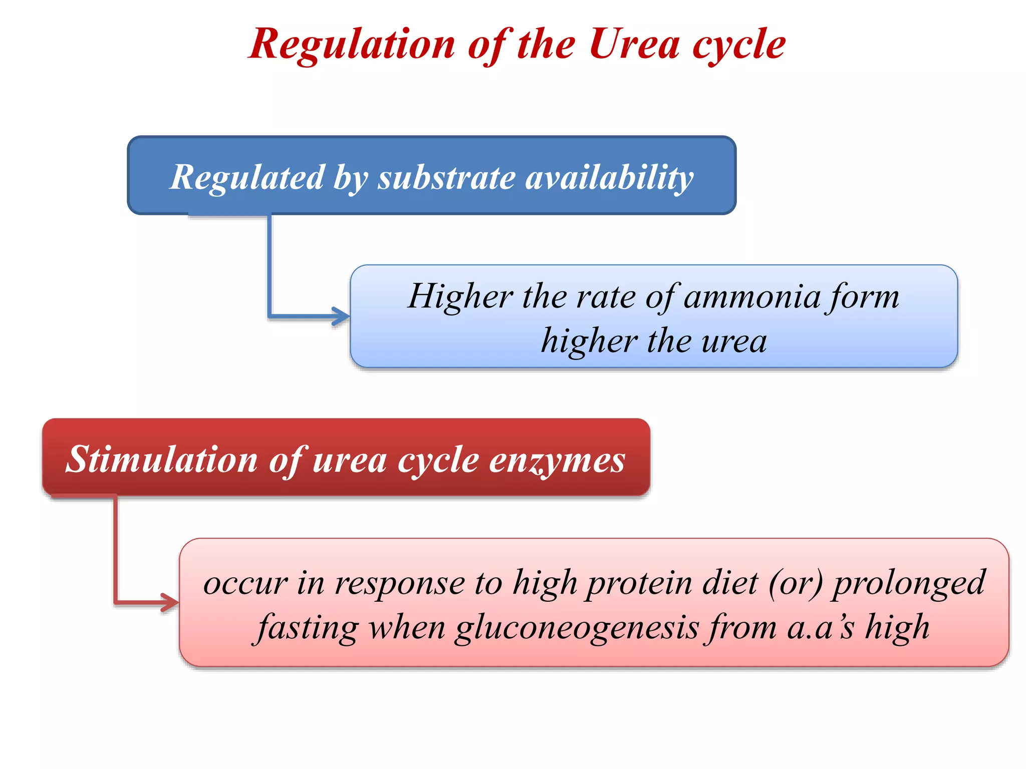 AAM-3: Ammonia disposal (Urea cycle ) | PPT