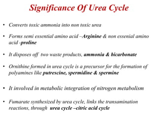 AAM-3: Ammonia disposal (Urea cycle ) | PPT
