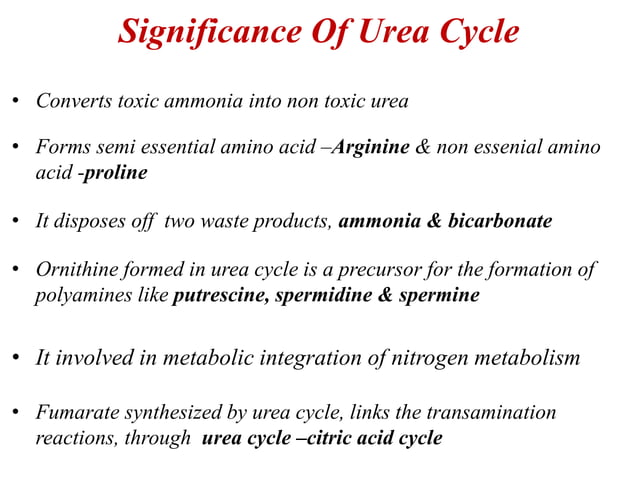 AAM-3: Ammonia disposal (Urea cycle ) | PPT