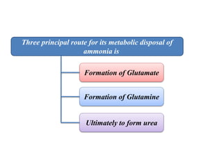 AAM-3: Ammonia disposal (Urea cycle ) | PPT