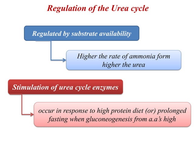 AAM-3: Ammonia disposal (Urea cycle ) | PPT