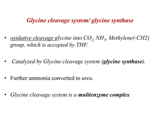 AAM-4: Metabolism of Glycine & Alanine | PPTX