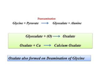 AAM-4: Metabolism of Glycine & Alanine | PPTX | Endocrine and Metabolic ...