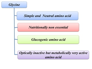 AAM-4: Metabolism of Glycine & Alanine | PPTX | Endocrine and Metabolic ...