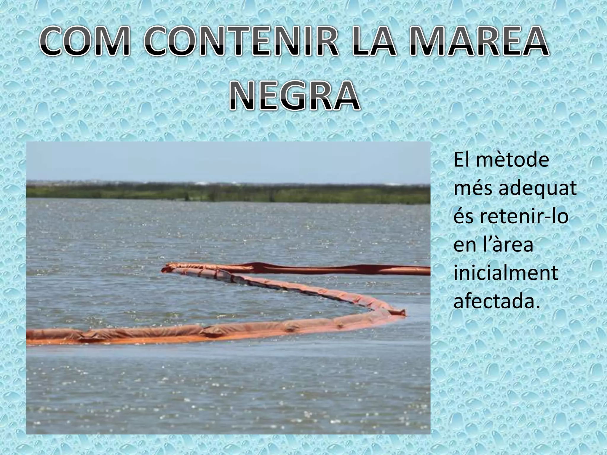M.a. power marea negra | PPTX