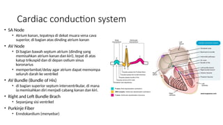 M - ACTION POTENTIAL AND CARDIAC CONDUCTION SYSTEM.pptx