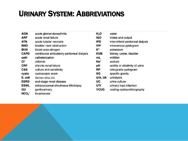 M. Altman presentation 3 ch. 9 urinary system abbreviations