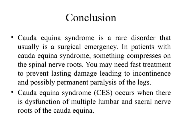 Cauda Equina Syndrome by Muhammad Muzzammil Bashir | PPT