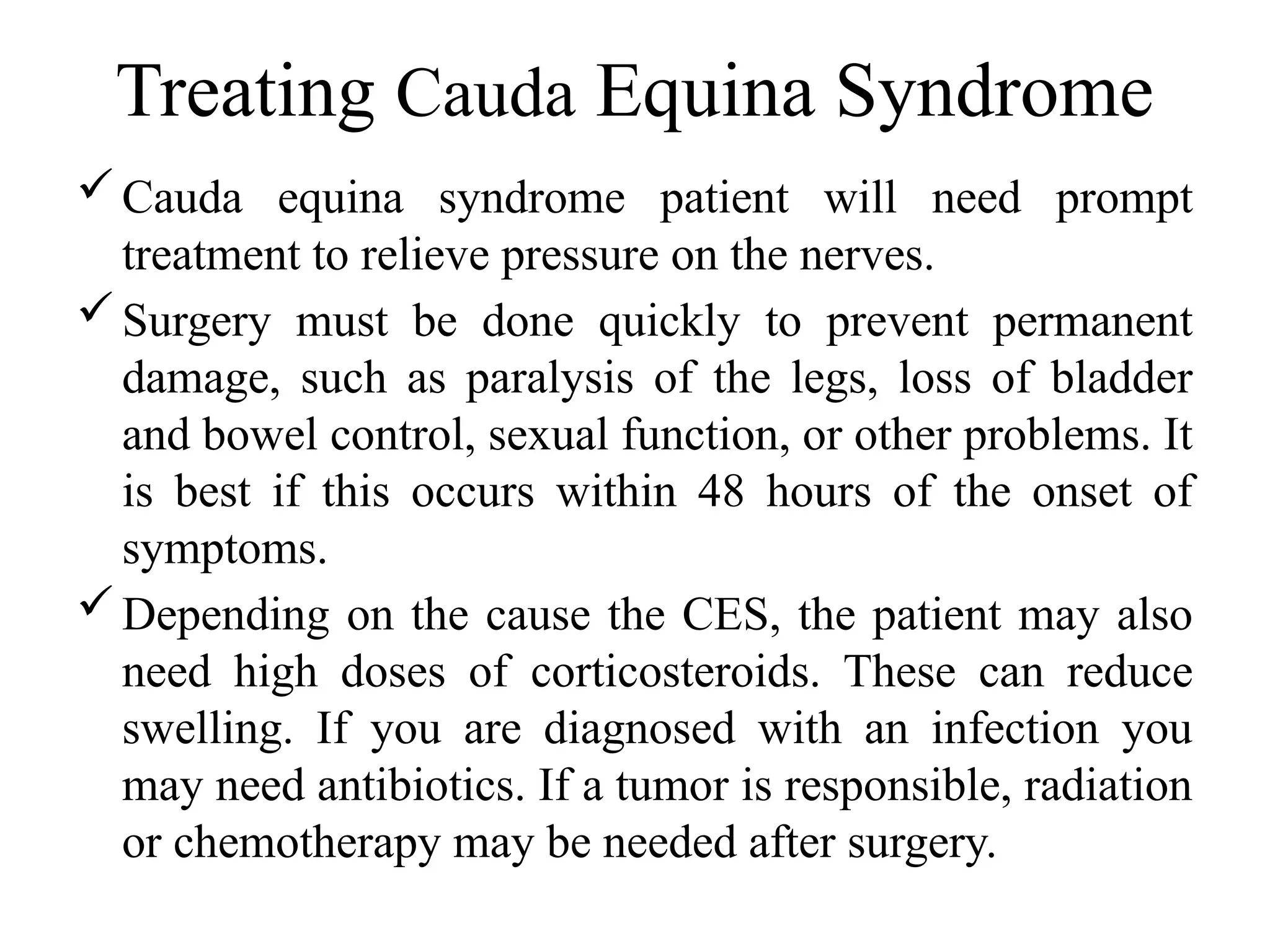 M-ANA 414 17-40 Cauda Equina by Muzzammil.pptx