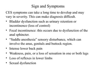 M-ANA 414 17-40 Cauda Equina by Muzzammil.pptx