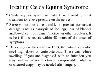 M-ANA 414 17-40 Cauda Equina by Muzzammil.pptx