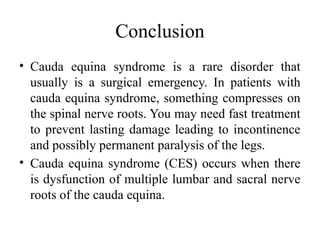 M-ANA 414 17-40 Cauda Equina by Muzzammil.pptx