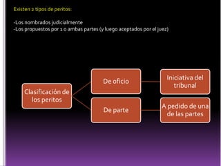 perito peritAJE | PPTX