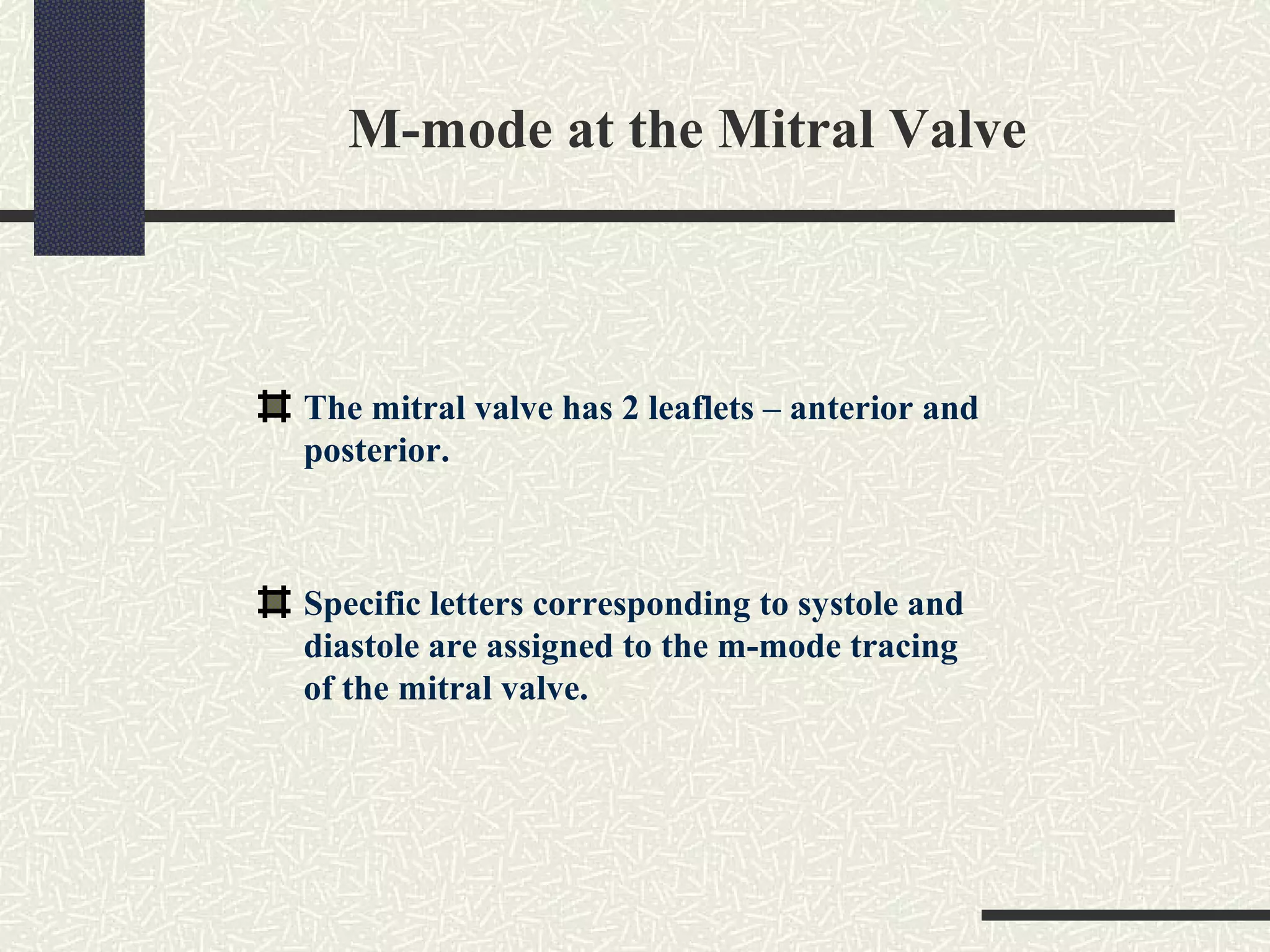 M mode echocardiography | PPT