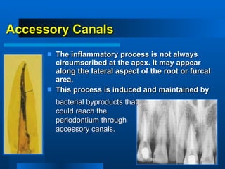 periodontitis associated with endodontic lesions | PPT