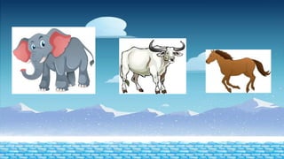 Heavy, Heavier, Heaviest | PPTX