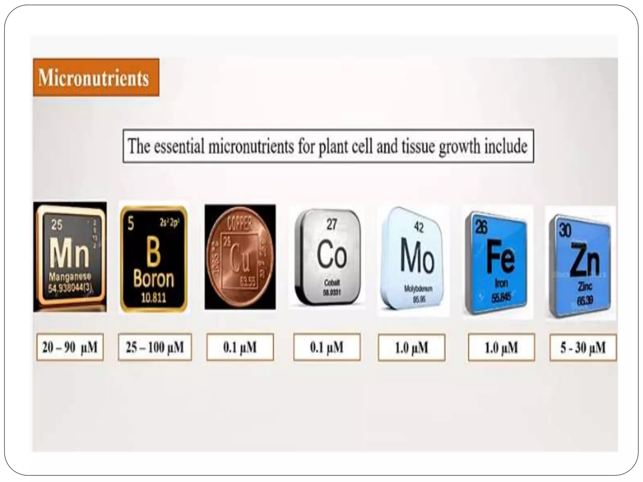 M S Medium Preparation | PPTX
