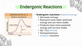 Metabolic Processes - Energy & Metabolism Slideshow | PPT