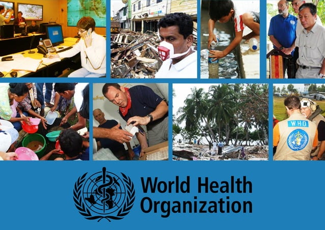 BASIC GMP TRAINING ; WHO MODULE | PPT | Pharmaceutical Industry ...