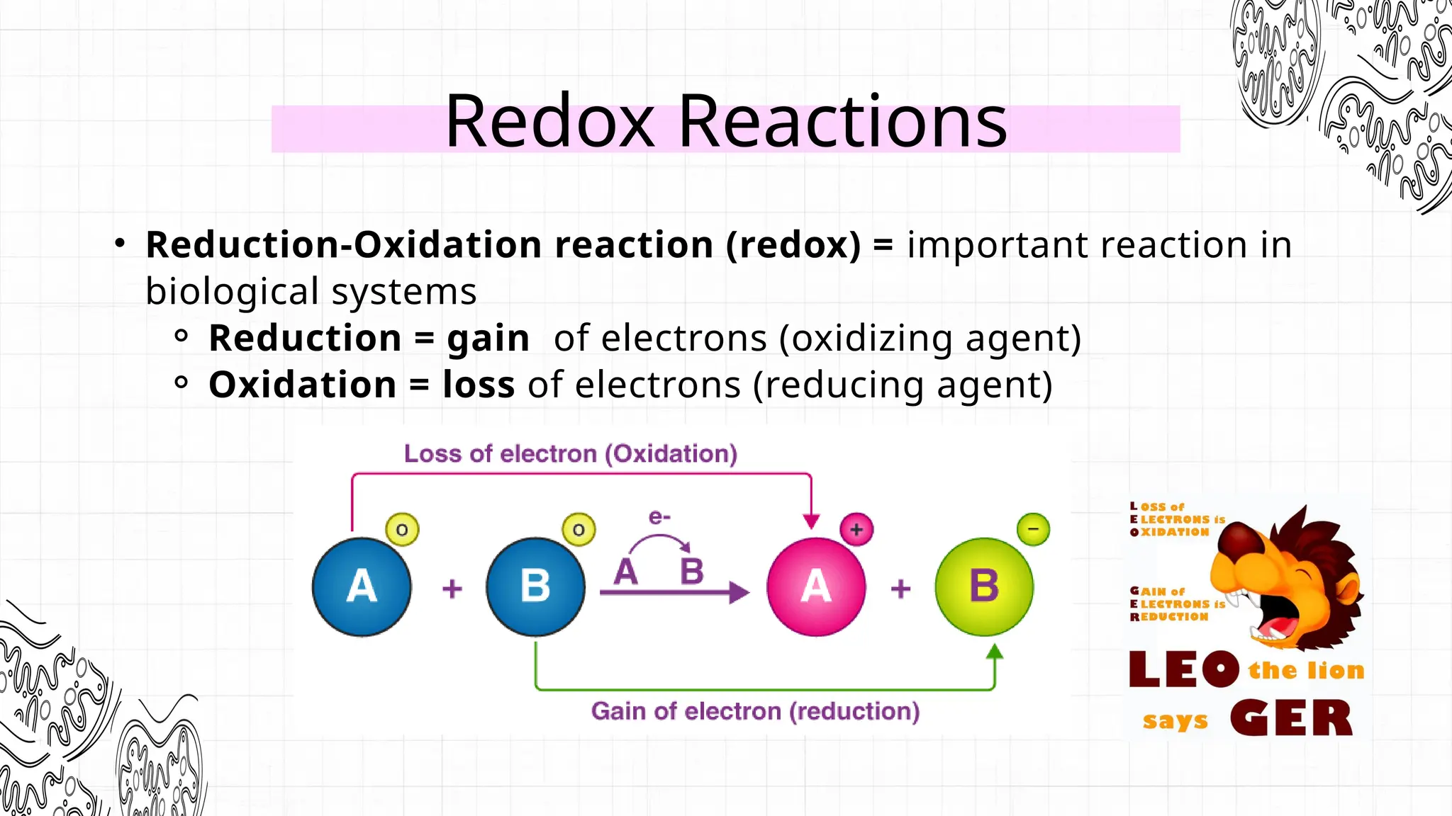 Metabolic Processes - Types of Reactions Slideshow | PPTX
