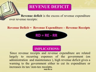 Government Budget | PDF