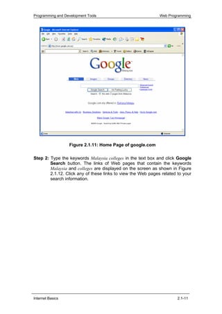 2.1 Web Programming - InternetBasics | PDF