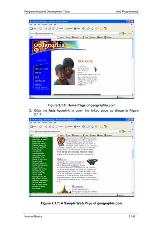 2.1 Web Programming - InternetBasics | PDF