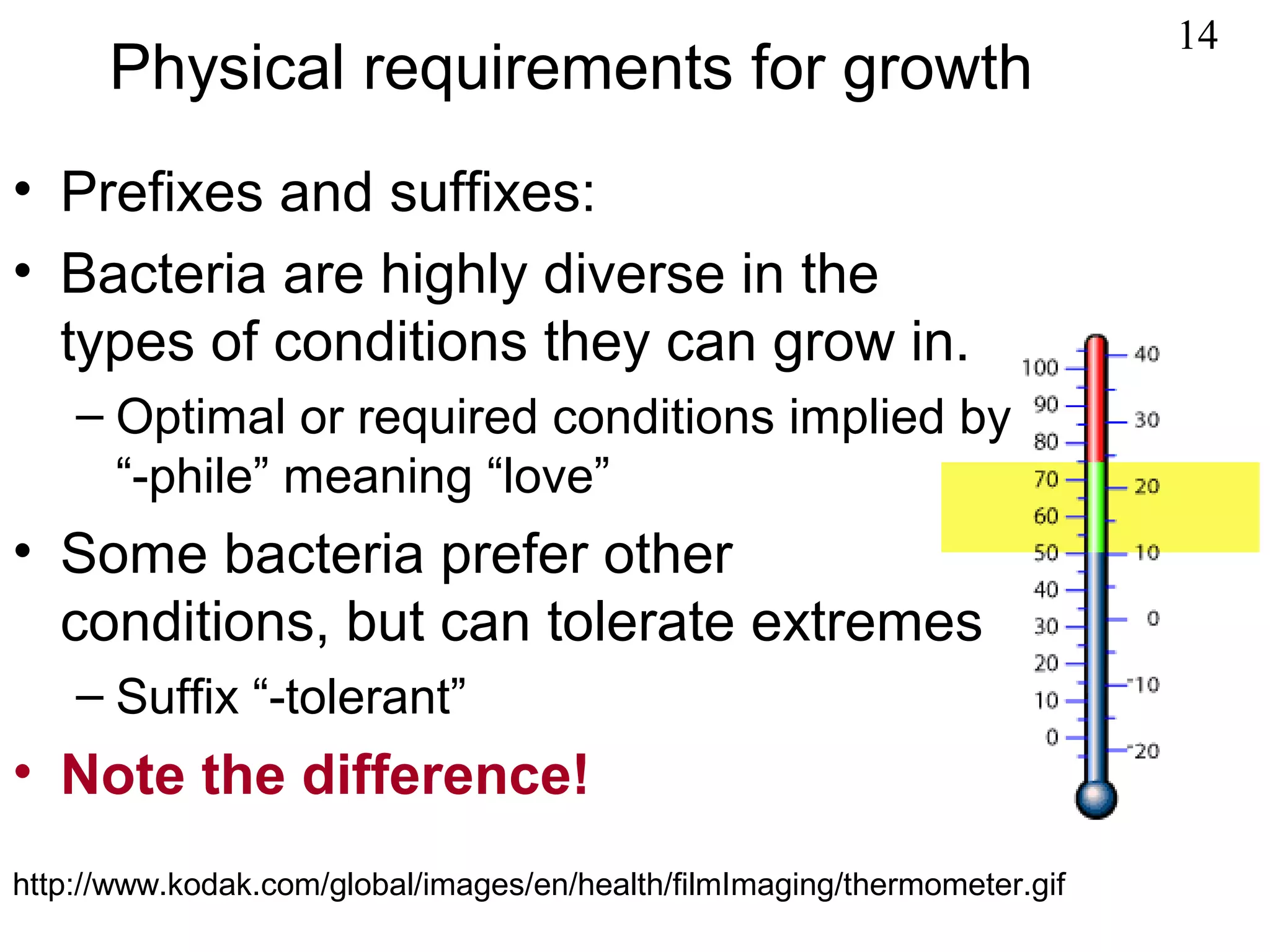 Bacterial Growth and Nutrition | PPT