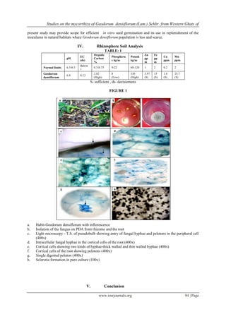 Studies on the mycorrhiza of Geodorum densiflorum (Lam.) Schltr. from ...