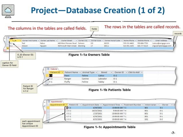 M0DULE 1-MS ACCESS Databases and Database Objects.pdf | Databases | Computer Software and ...