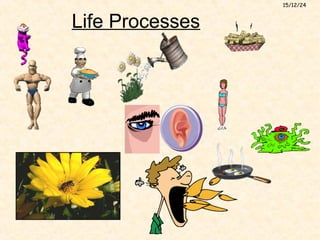 [M1.1] READ - The Seven Life Processes (PowerPoint) v1a.ppt