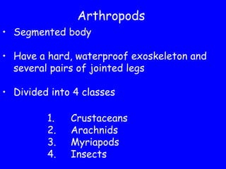 [M1.1] READ - Classification (PowerPoint) v1a.ppt