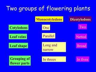 [M1.1] READ - Classification (PowerPoint) v1a.ppt