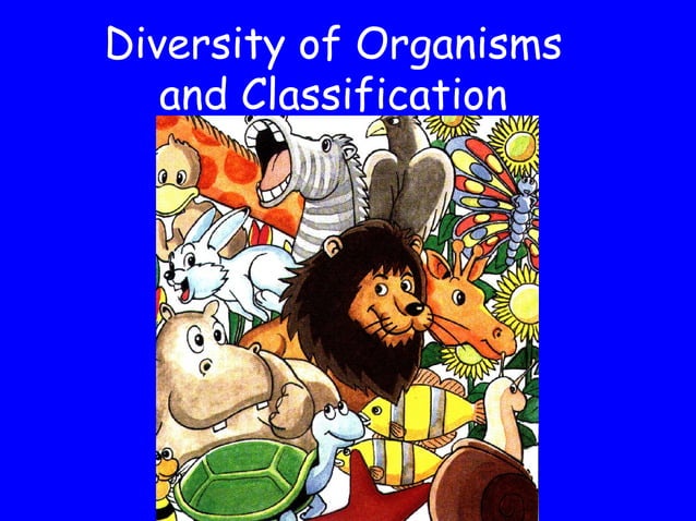 [M1.1] READ - Classification (PowerPoint) v1a.ppt