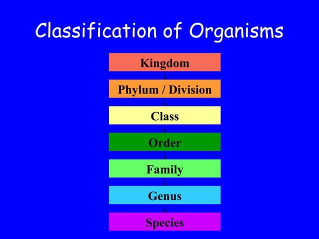 [M1.1] READ - Classification (PowerPoint) v1a.ppt