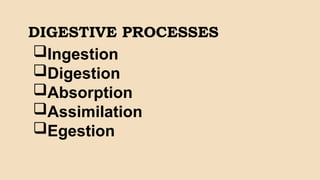 M1-The Digestive System: Structures, Function, and Processes | PPTX