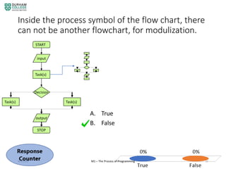 The process of programming | PPT